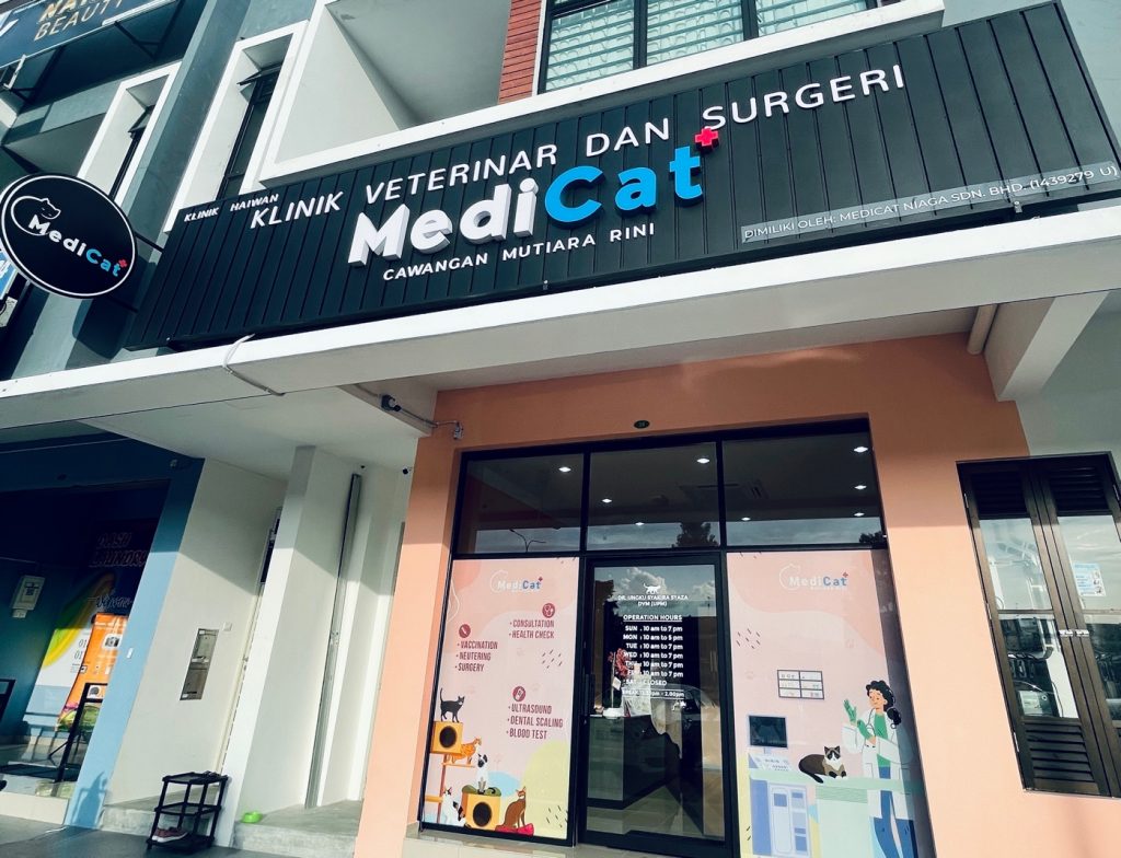 Contact Us - MediCat