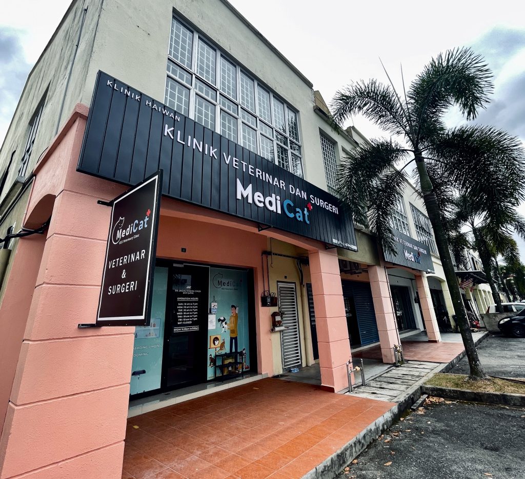 Contact Us - MediCat