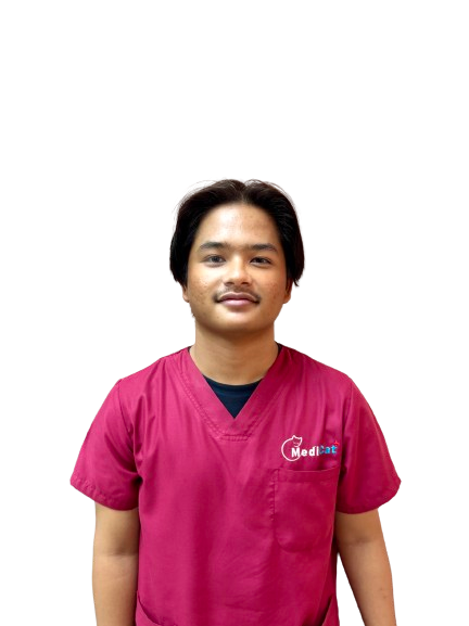 About - MediCat